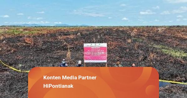 Gakkum KLHK Segel 7 Lokasi Karhutla di Kalimantan | kumparan.com